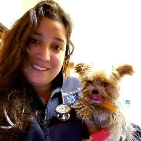 Amy Palma: Not Your Average Night Shift Scribe - ScribeAmerica