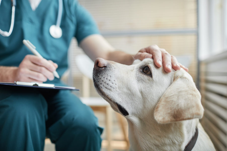 Emergency Room (ER) Scribes | Emergency Medical Scribes - ScribeAmerica